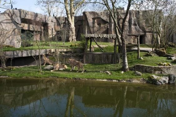 London Zoo to give visitors a Maharaja tour in the Land of the Lions...