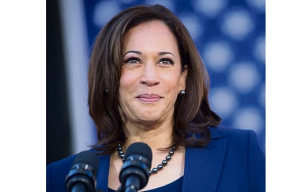 Kamala Harris sees surge after first Democratic debate...