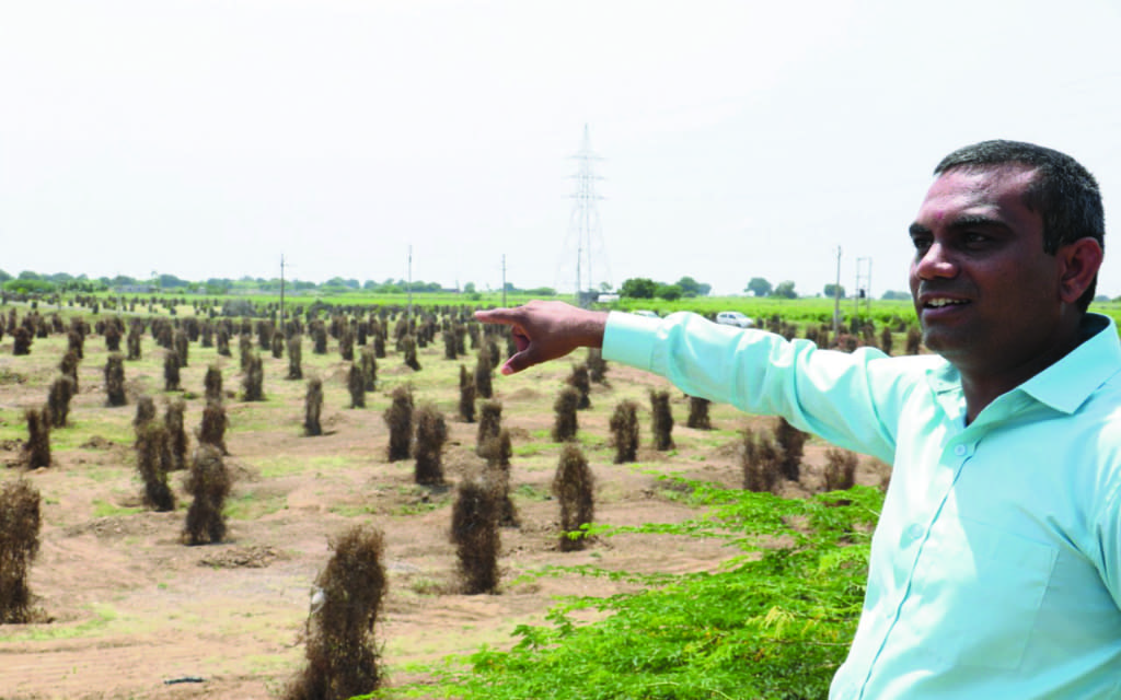 Meet the Tree-man of Gujarat